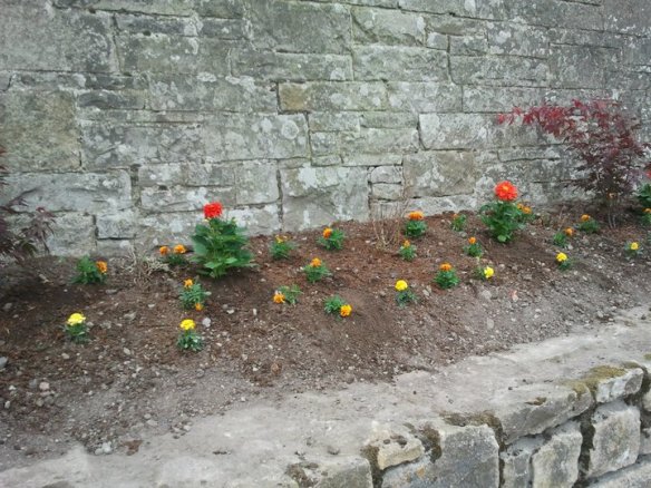 Independent Sligo Councillor Marie Casserly | Your Indpenedent ...